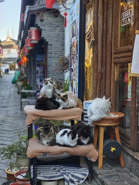 鍾明軒的影片告訴政府還要廢多久？ - B131-1 留言 | Dcard