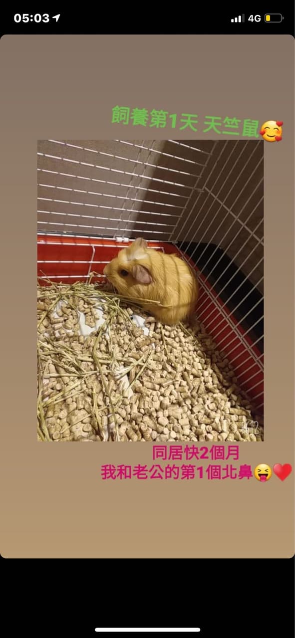 QTime 小情侶又要分手了嗎 - B11 留言 | Dcard