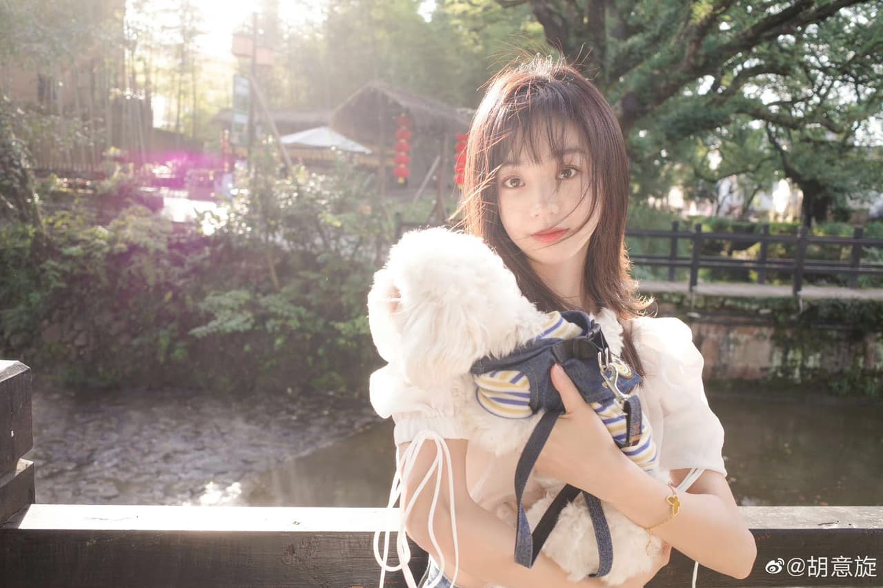 盤點有演技又漂亮的仙女姊姊💐｜中國女演員 - 濃濃 ̟* (@nn16014) | Dcard