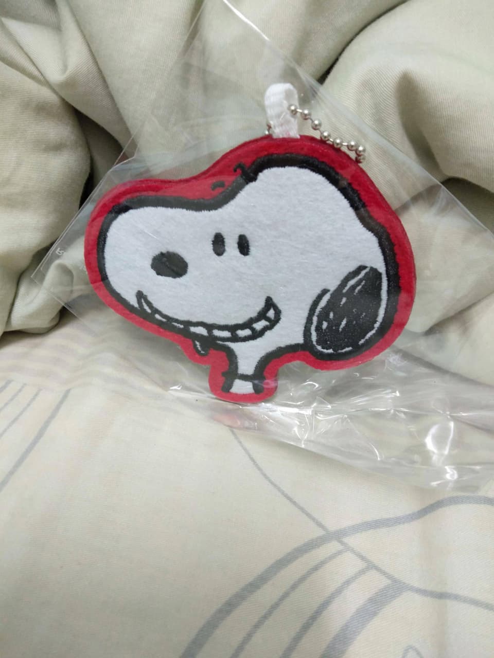 #福袋 #開箱 Peanuts Snoopy專櫃 - 穿搭板 | Dcard