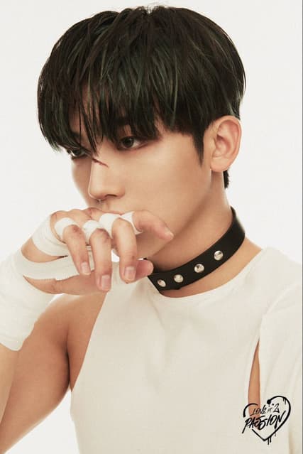 #分享 PDX 404 那些男孩去哪了(資訊整理） - B29 留言 | Dcard