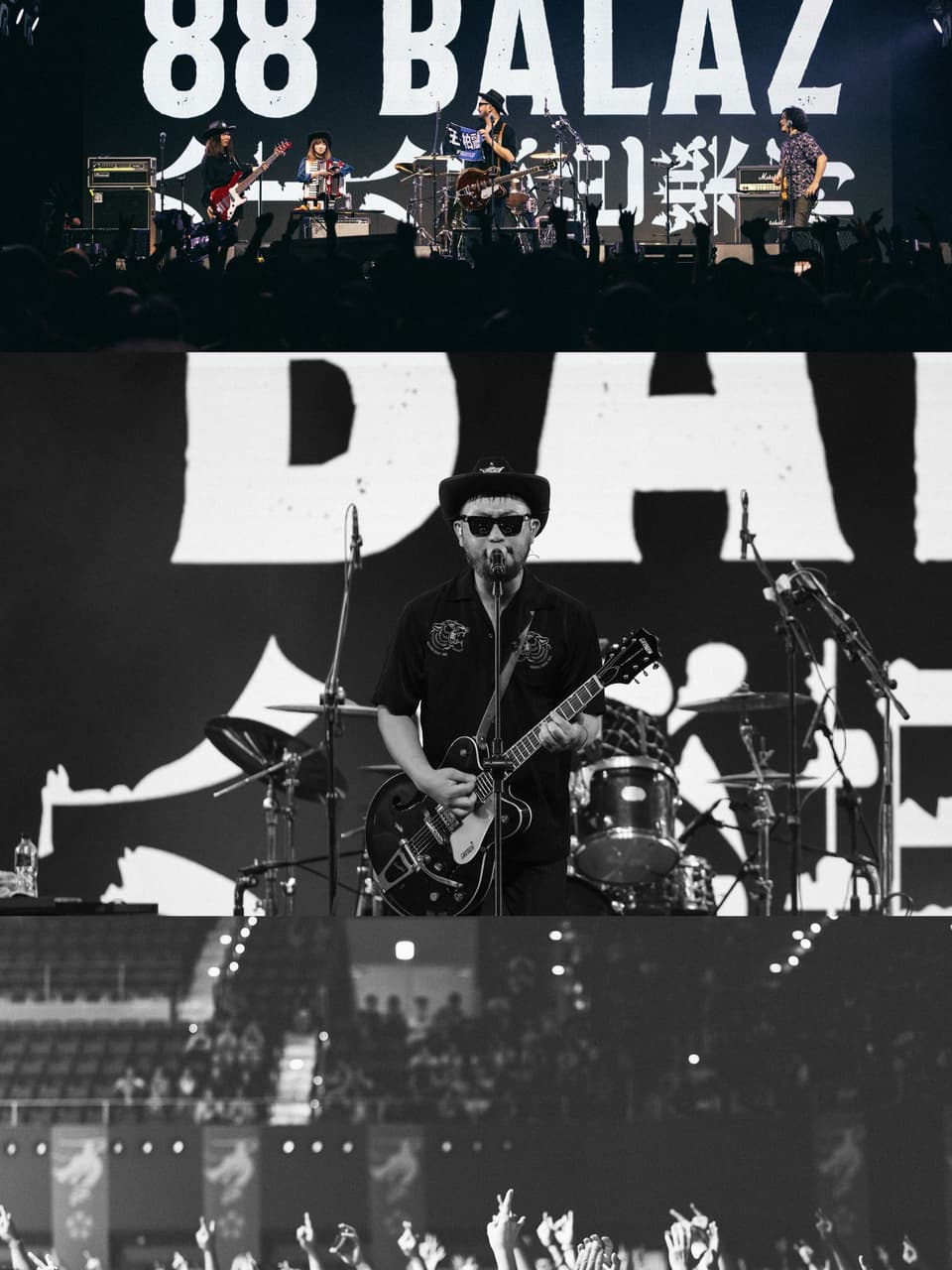 2024大港開唱 - 法蘭克福 (@frankucc) | Dcard