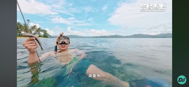 對dodoman 荒島求生的看法（完結小更 - B83 留言 | Dcard