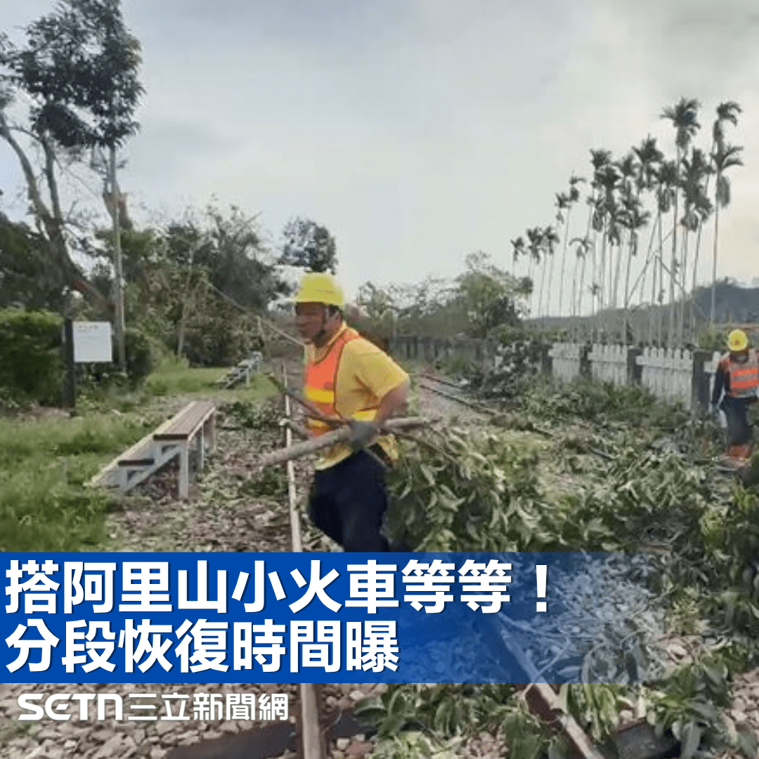 要搭阿里山森鐵再等等！沿線「樹倒竹彎折」清理中 分段恢復時間曝 - SETN三立新聞網 (@setn54) | Dcard