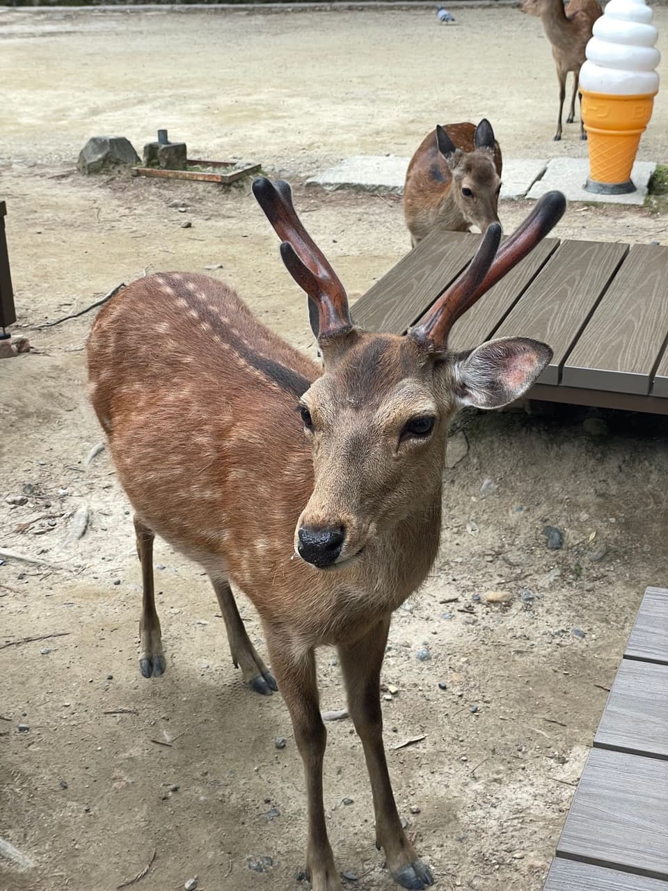 一群男生的大阪京都畢旅D1分享 - 日本旅遊板 | Dcard