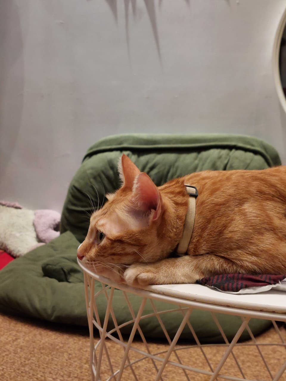 打球 - 陽明交通大學板 | Dcard