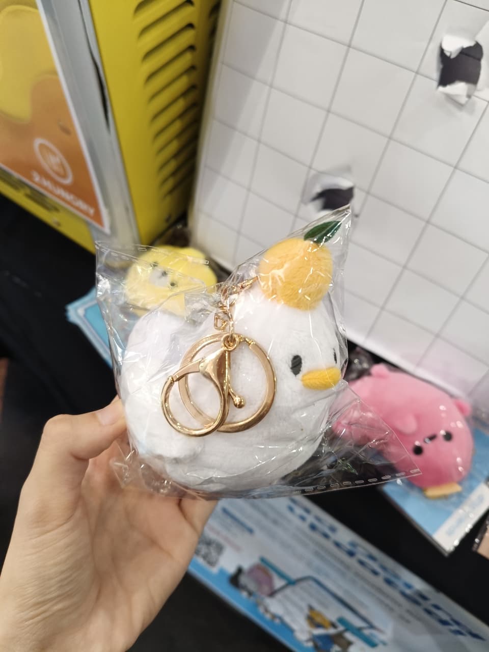 utar有free玩偶！！！ - UTAR板 | Dcard