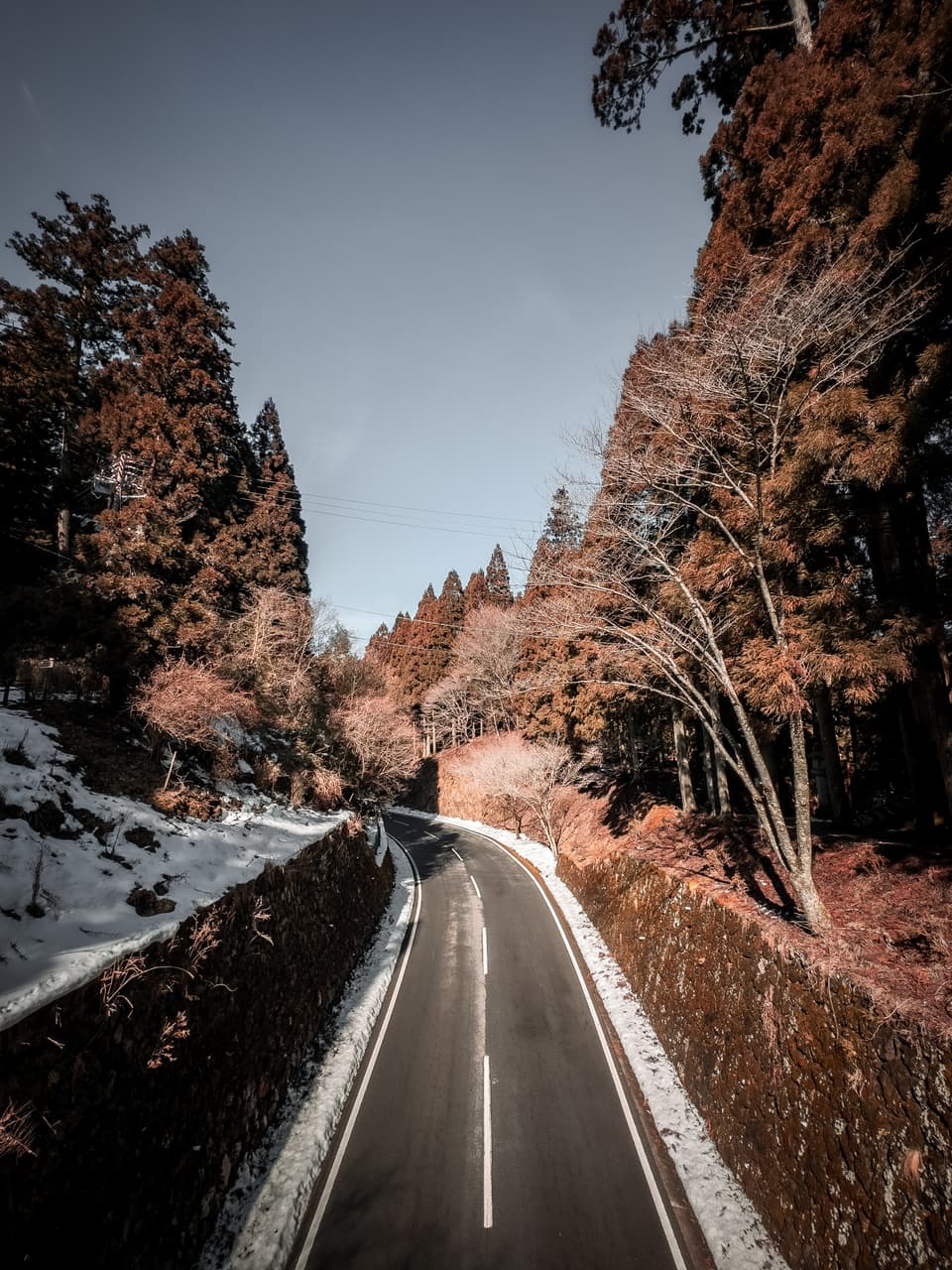 貳拾。關西環遊獨旅11日 Part. III - 旅遊板 | Dcard