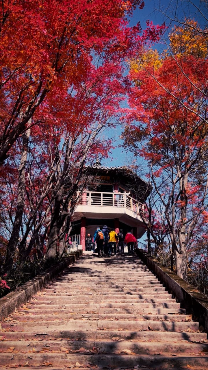 #分享 韓國賞楓之旅 D5 - 韓國旅遊板 | Dcard