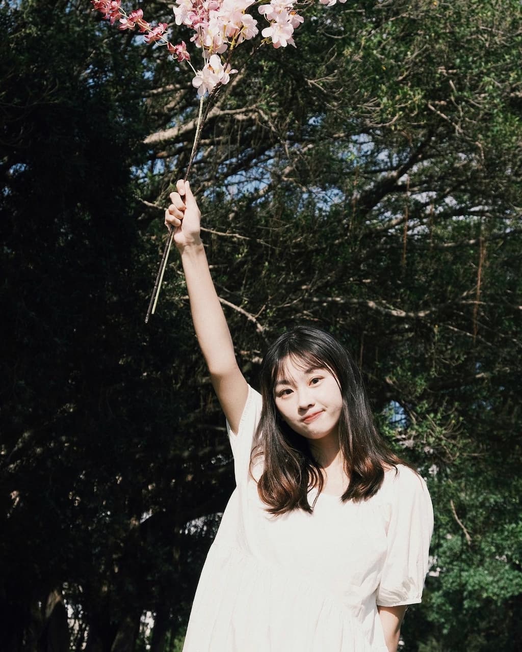 抓住好天氣的尾巴₍ᐢ⸝⸝› ̫ ‹⸝⸝ᐢ₎🌸🌞 - 小勺🐰 (@rabbitinthehole) | Dcard