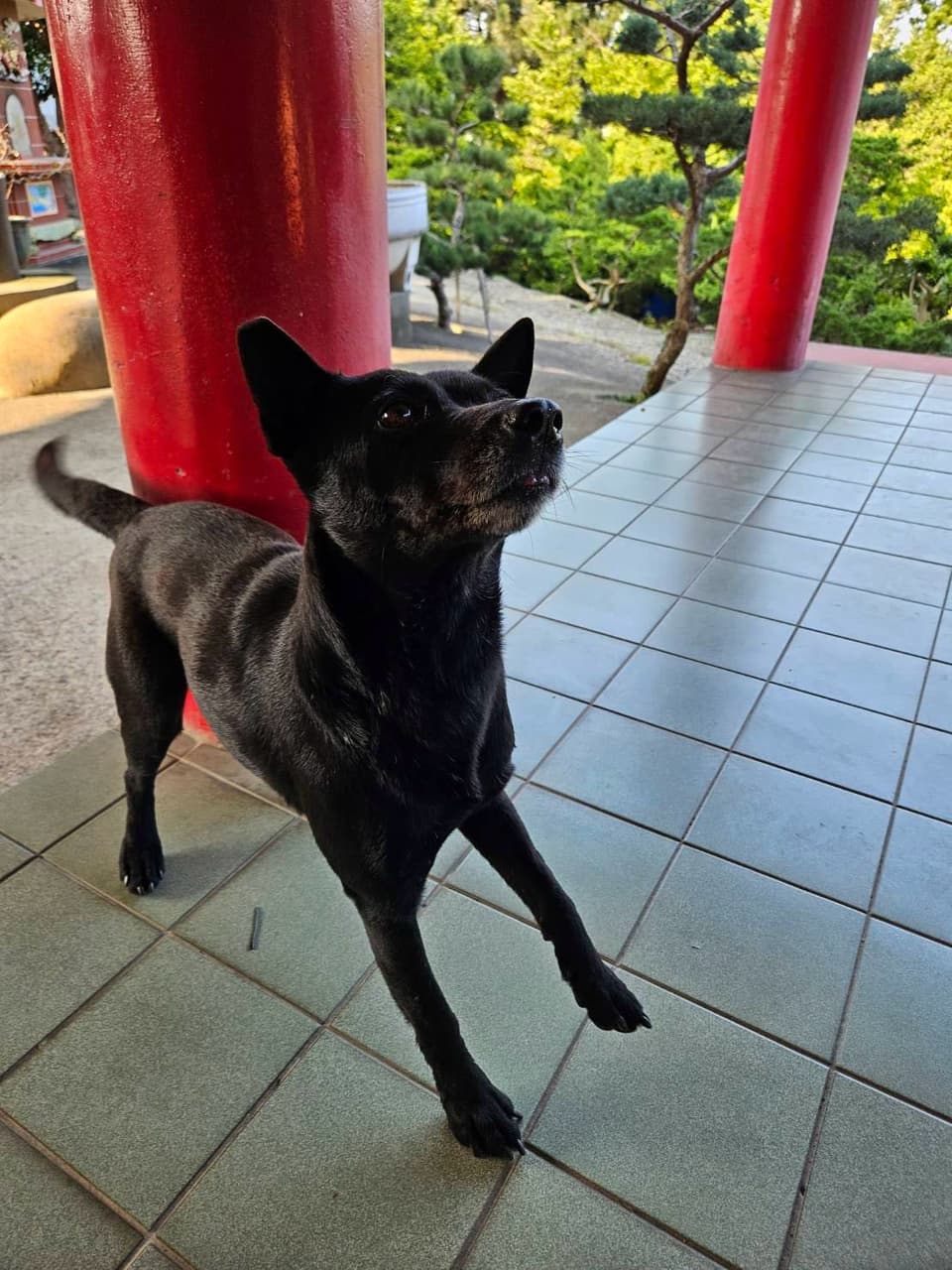 月老故事_001 - 暮春三月 (@muchun_spring) | Dcard