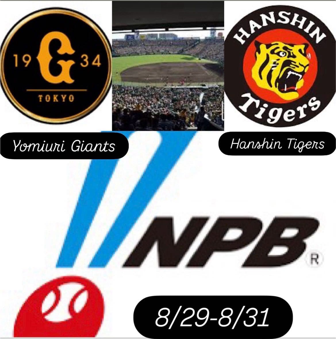 #日本職棒 2025/8/29-8/31 NPB / 讀賣⚾️ VS. 阪神🐯 （三連戰）/ 賽事討論區 - 棒球板 | Dcard