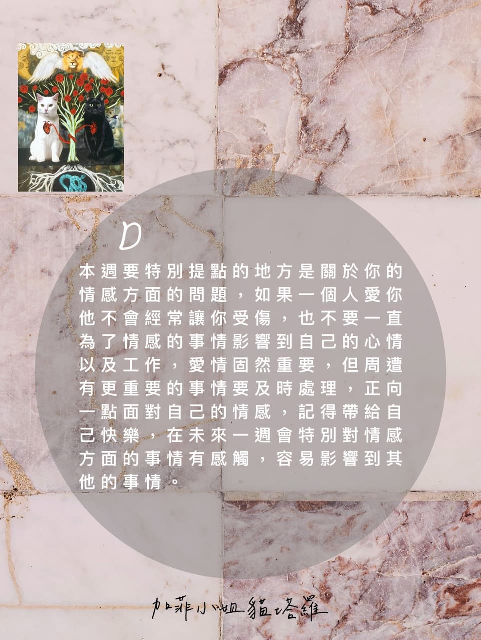 「塔羅」大眾占卜-本週特別提點 - 加菲小姐貓塔羅 (@garfield_tarot) | Dcard