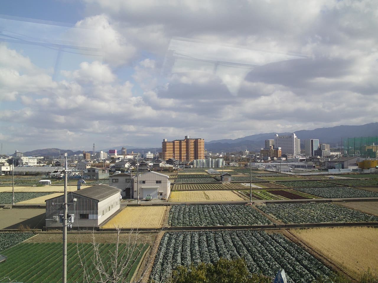 復古數位攝像機隨拍紀錄📹 - gayo가요 (@sdyyy_k) | Dcard