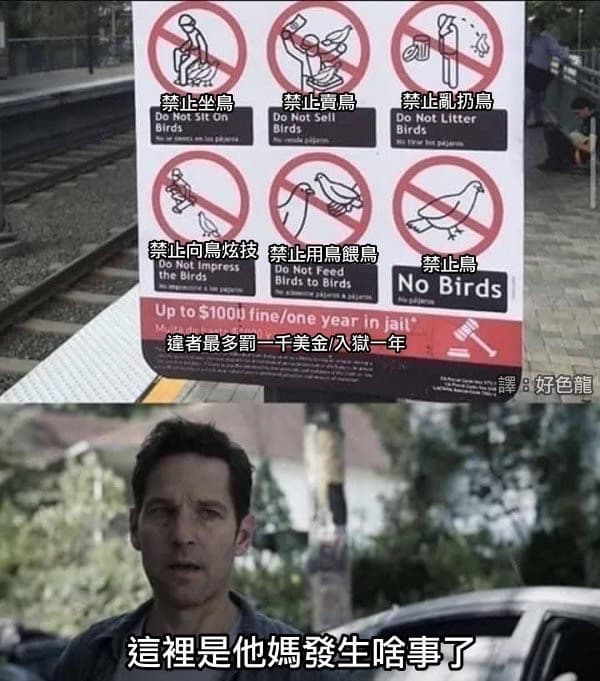 情況從糟糕變成難以理解😲 梗圖板 Dcard