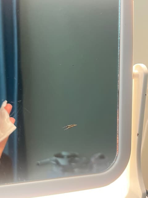 請益 請益:這是什麼蟲´༎ຶД༎ຶ` 昆蟲板 Dcard