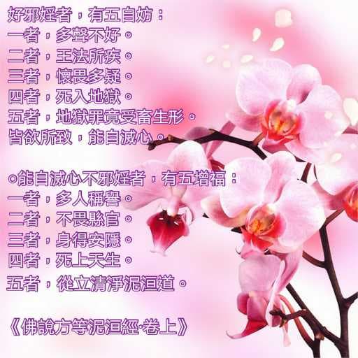 佛弟子看過來，感情不順之因果 - 過客 (@king1013) | Dcard