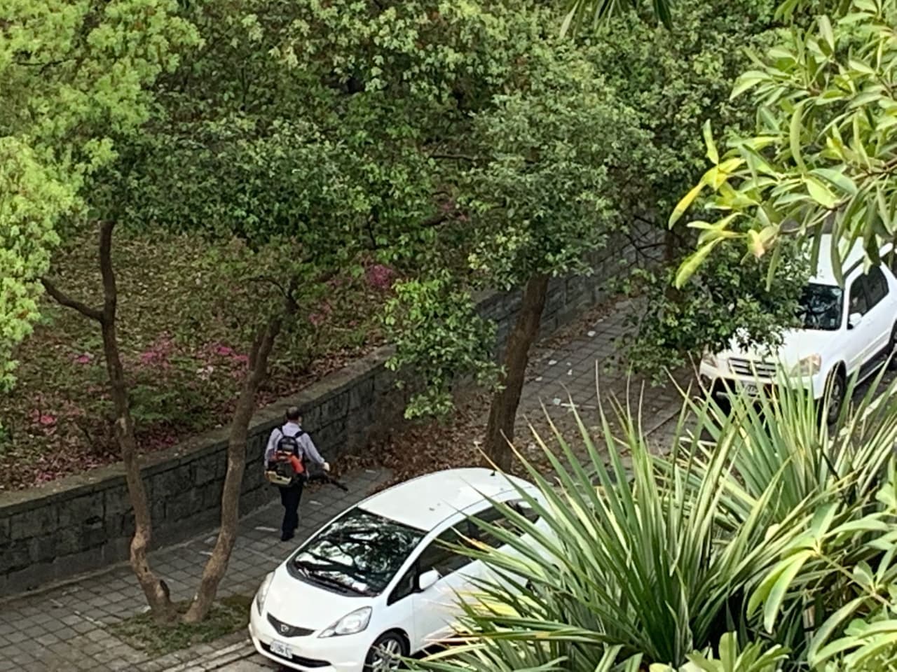 讓我睡覺 臺北藝術大學板 Dcard