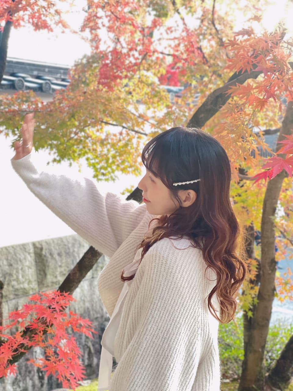 京都紅葉拍照技巧 - Zero (@hello00) | Dcard