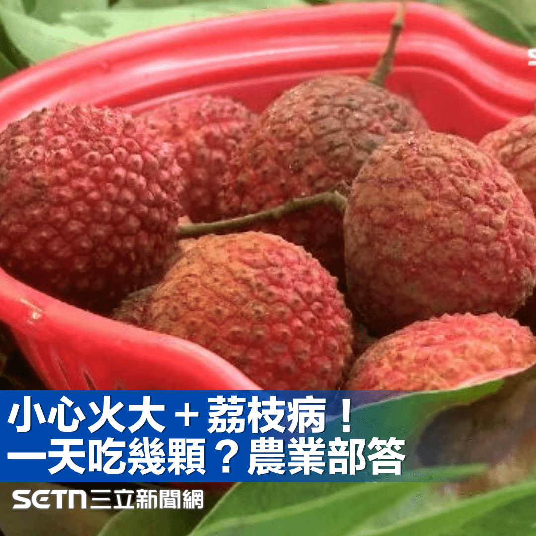 小心愈吃愈「火大」還引爆「荔枝病」衝急診！一天吃幾顆？農業部給數字 - SETN三立新聞網 (@setn54) | Dcard