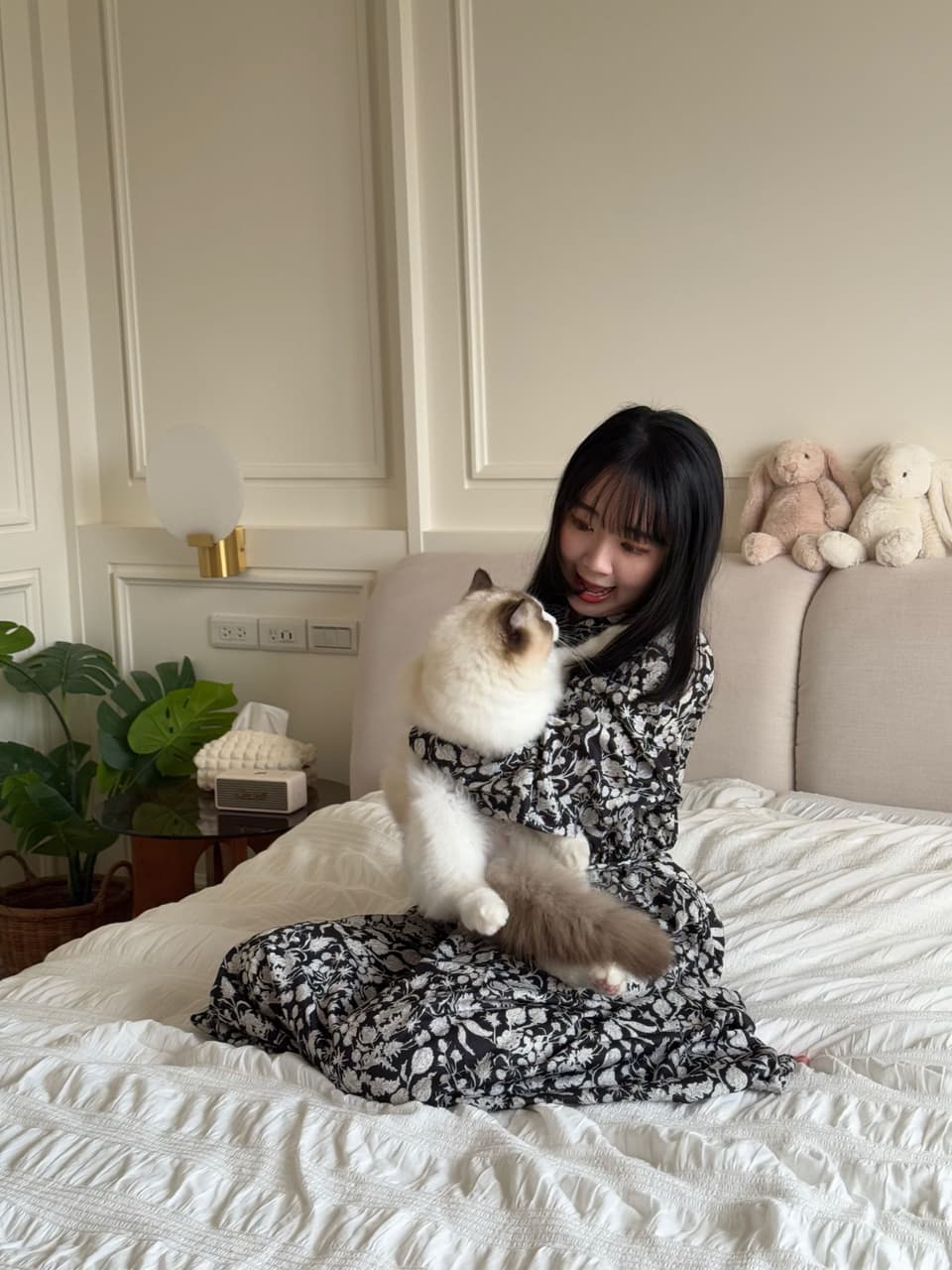 小愛麗絲貓，我來了！ - 小愛麗絲貓 (@aliceliucat1014) | Dcard