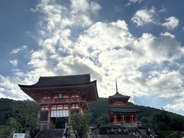 #旅遊日記 京阪九天八夜 DAY5 #新手 #清水寺 #宇治 #平等院 文長圖多 - 日本旅遊板 | Dcard