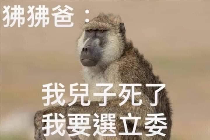 狒狒 - 梗圖板 | Dcard