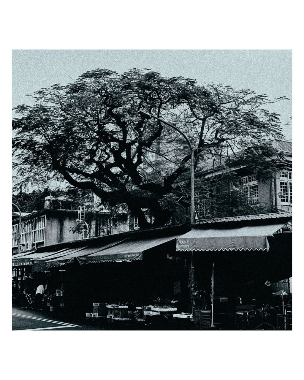 #教學 手機就能完成照片調色？Lightroom進階篇 - 攝影板 | Dcard