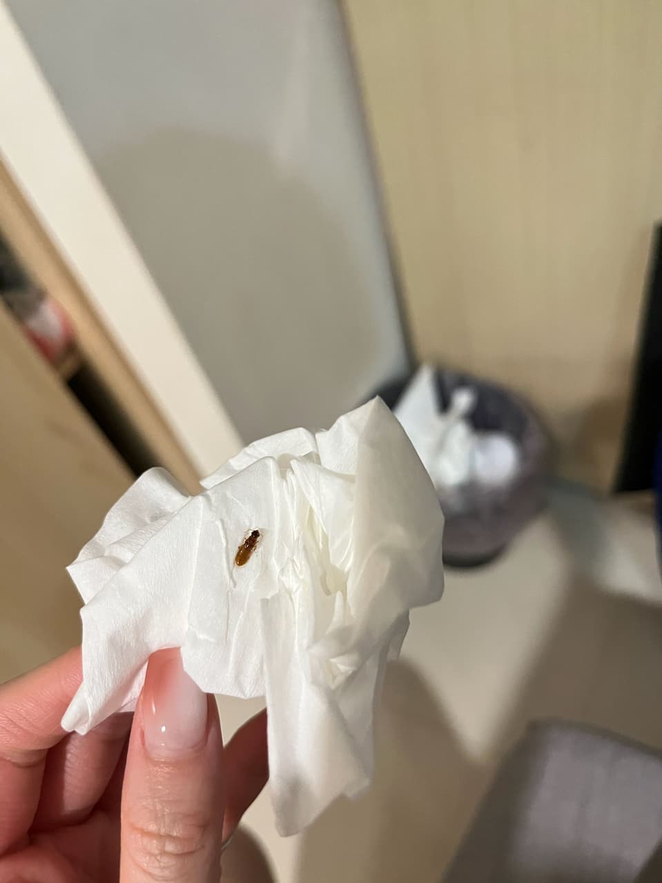 請益 這是什麼蟲🥲 昆蟲板 Dcard