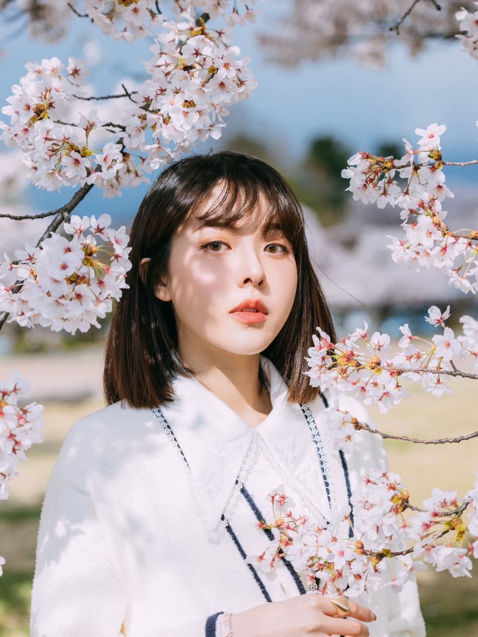 等待繁花盛開 - 法蘭克福 (@frankucc) | Dcard