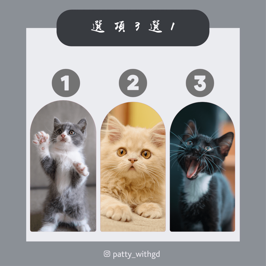 屬於我的十月桃花 - 蘇成 (@partyparty) | Dcard