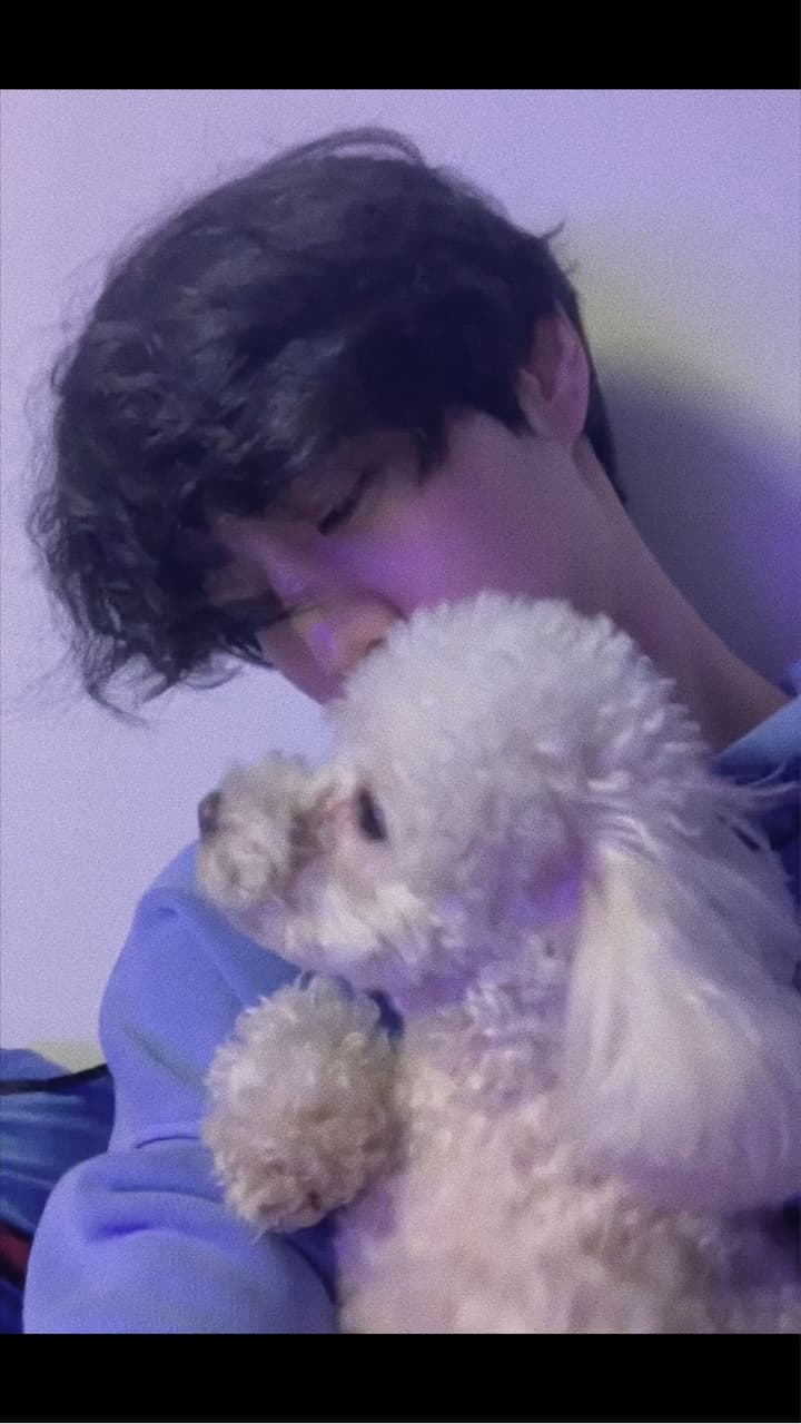 對於「idol」大家有什麼看法 - B37 留言 | Dcard