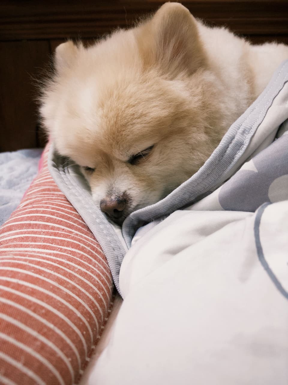 晚安😴 - 母湯 (@someone_18) | Dcard