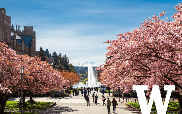 #經驗分享 2025 Fall ECE/CS 美國研究所碩士申請心得 (UW/UW-Madison/Rice) - 留學板 | Dcard