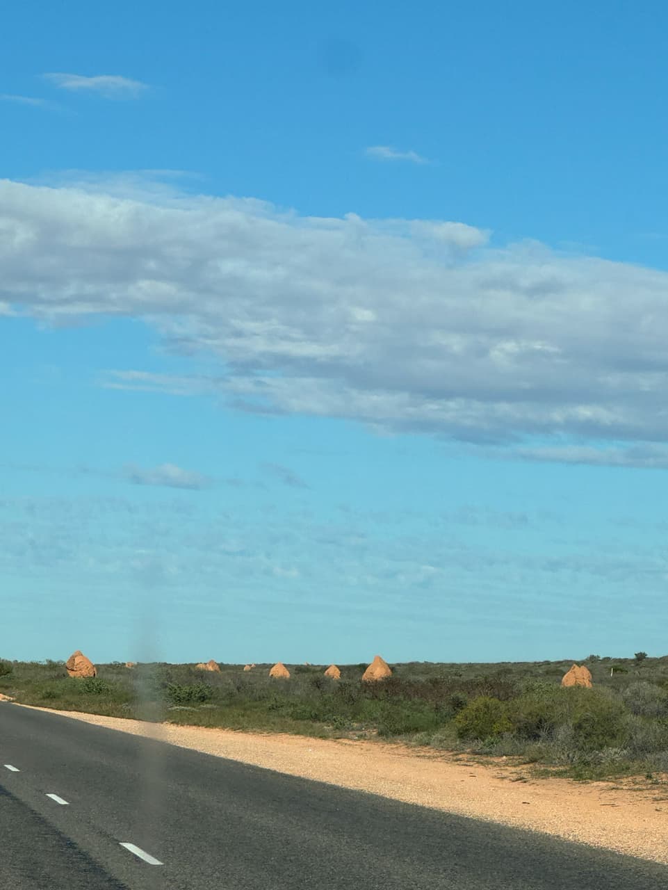 #國外遊記 西澳：與座頭鯨、鬼蝠魟共游-Ningaloo Reef - 旅遊板 | Dcard