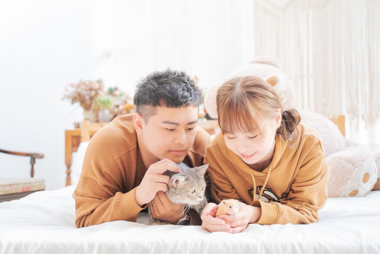 過情人節的貓 - 搗灰的娘親 (@mm951113) | Dcard