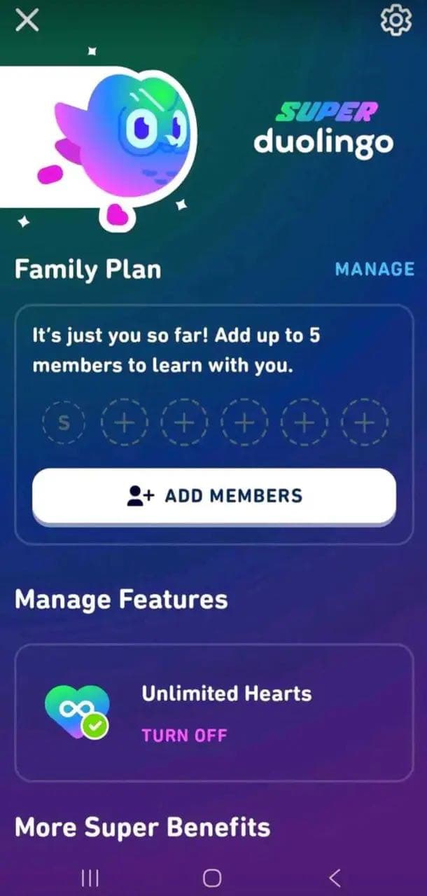 揪團 多鄰國家庭計劃duolingo family plan $350 - 課程板 | Dcard