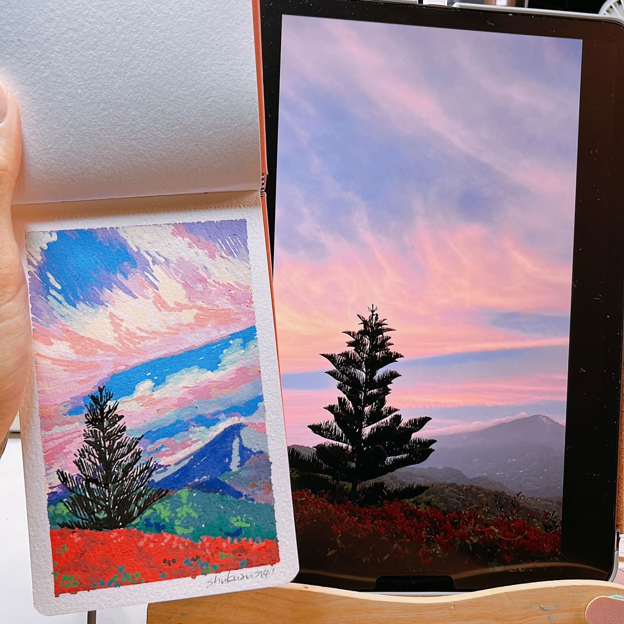 夢幻天空🌅 - 樹寬日常 (@amber_yang) | Dcard