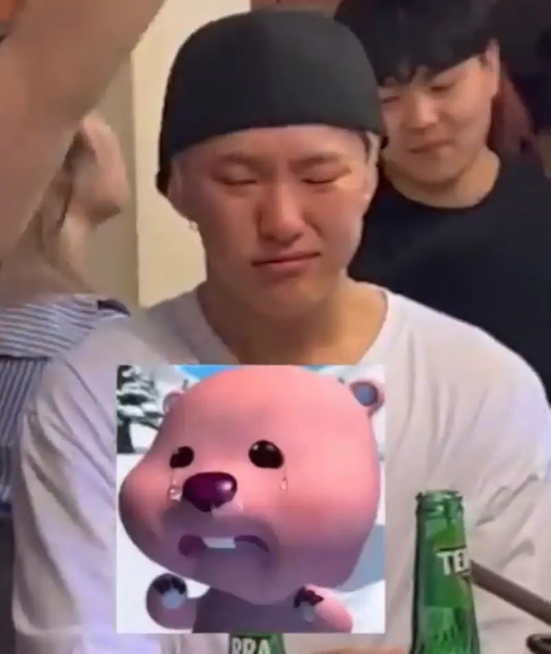 #閒聊 求各種Hoshi的Loopy圖 - SEVENTEEN板 | Dcard