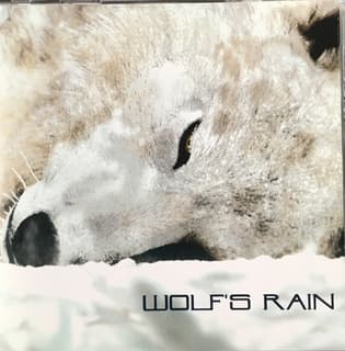 推坑：狼控必看，狼雨WOLF'S RAIN - 動漫板 | Dcard