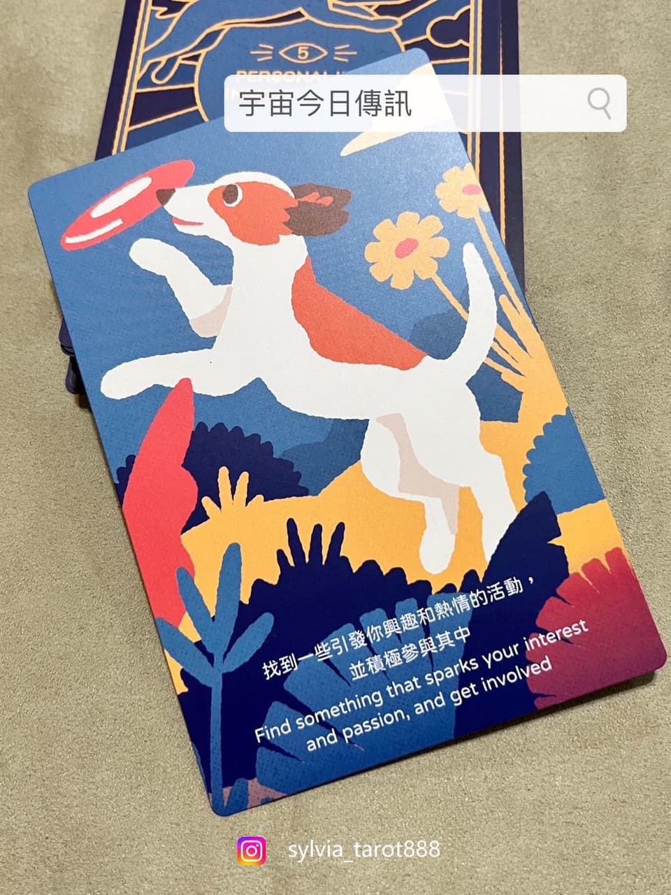 11/4🔮宇宙今日傳訊🔍 - 蘇維亞塔羅 (@sylvia_888) | Dcard
