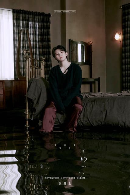 #集中討論 迷十 '𝑭𝑴𝑳' Official Photo - SEVENTEEN板 | Dcard