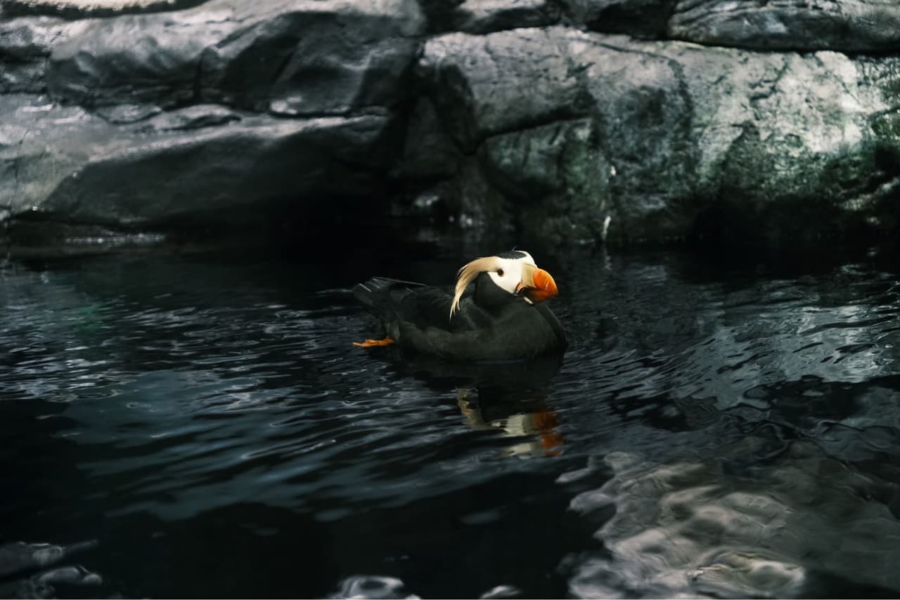 京阪十天九夜非專業分享-Day8.9（上） - 日本旅遊板 | Dcard