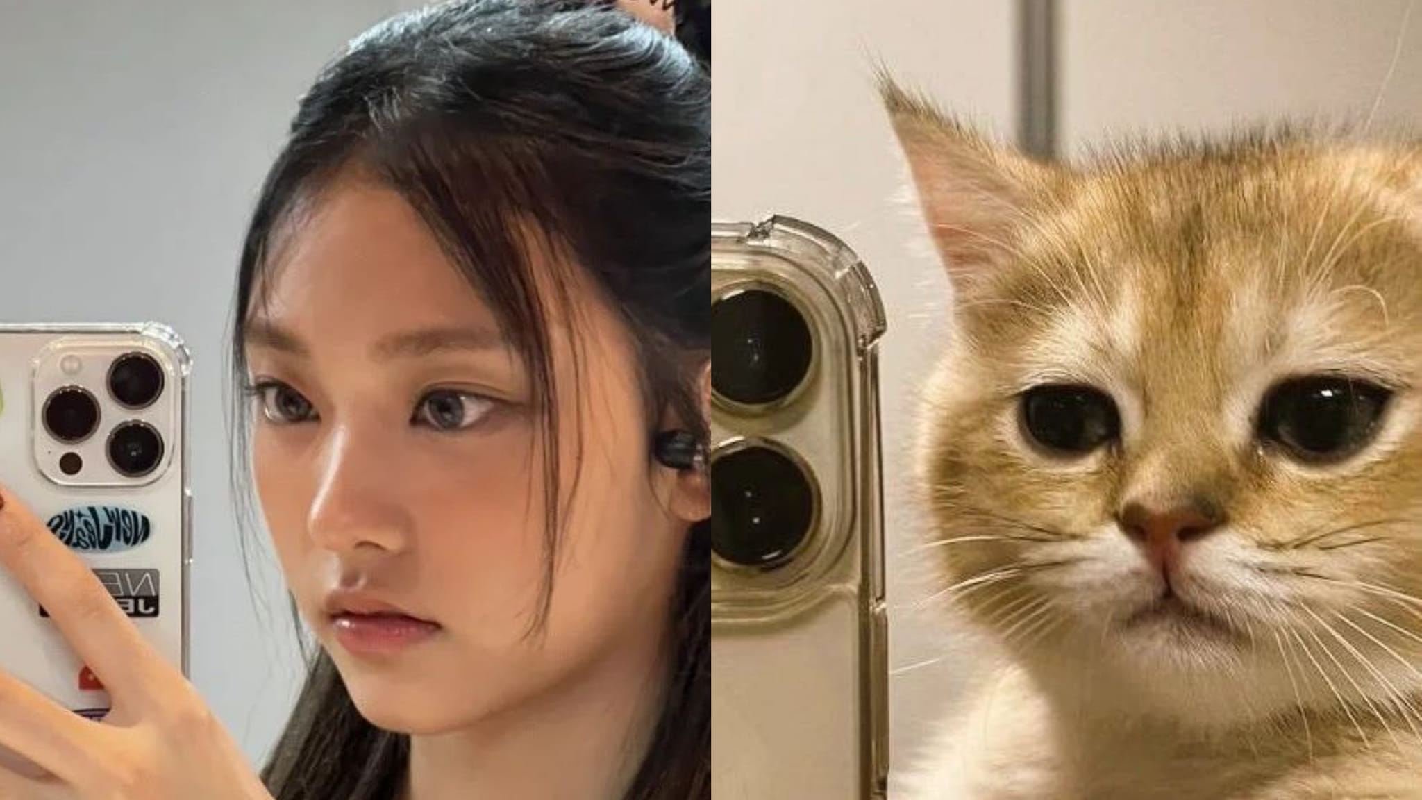 #閒聊 很像貓咪的女偶像Haerin😻求圖分享>