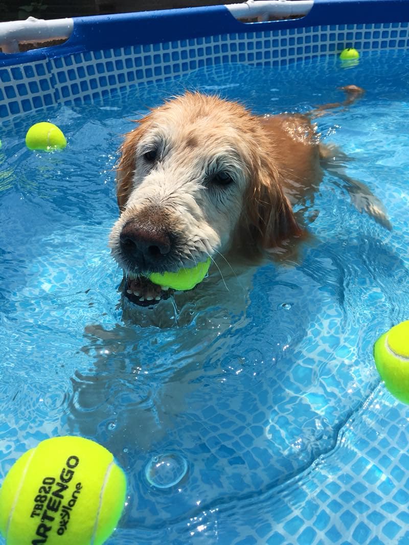 放開那個女孩... - B64 留言 | Dcard