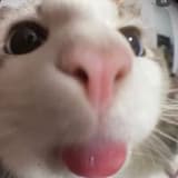 悠悠155 (@subsequently) | Dcard