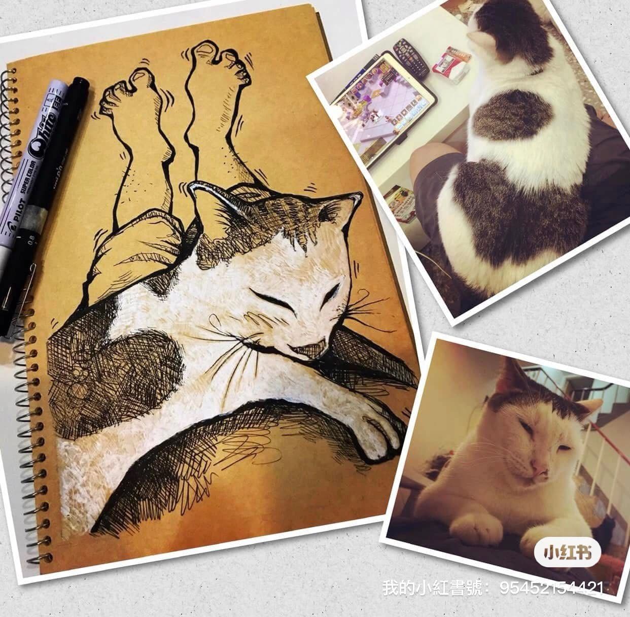 My ART - 寵物板 | Dcard