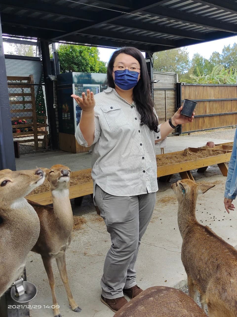 #分享 酸甜苦辣鹹，一年減44Kg的心路歷程(身高170cm體重113-69Kg) - 減肥板 | Dcard