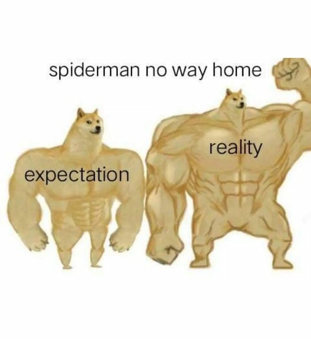 無家日 - 小騎鼠的體驗地 (@thesharkrider_m) | Dcard