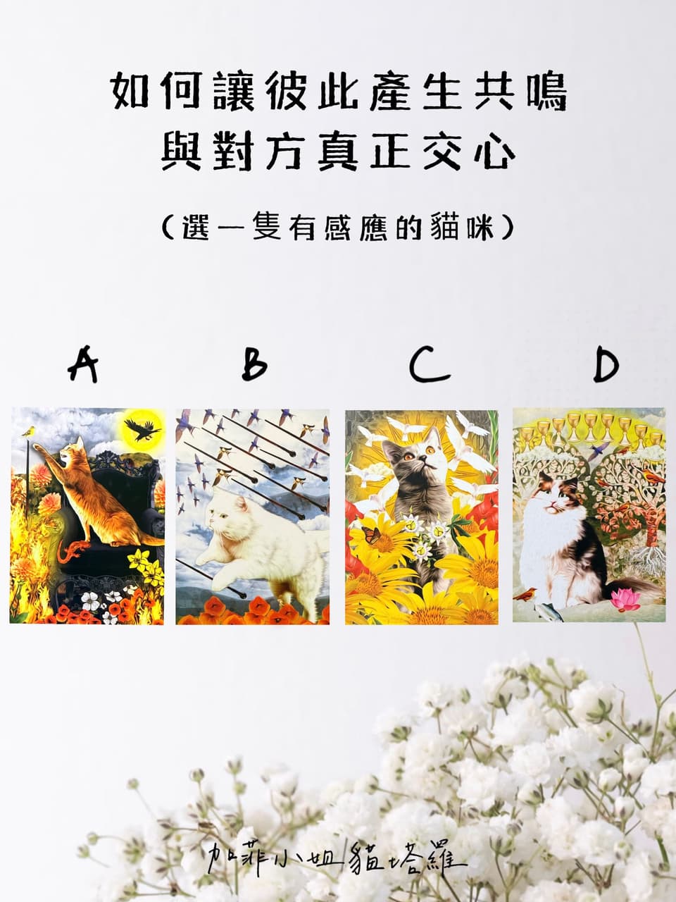 「塔羅」大眾占卜-如何讓彼此產生共鳴真正交心🌸 - 加菲小姐貓塔羅 (@garfield_tarot) | Dcard